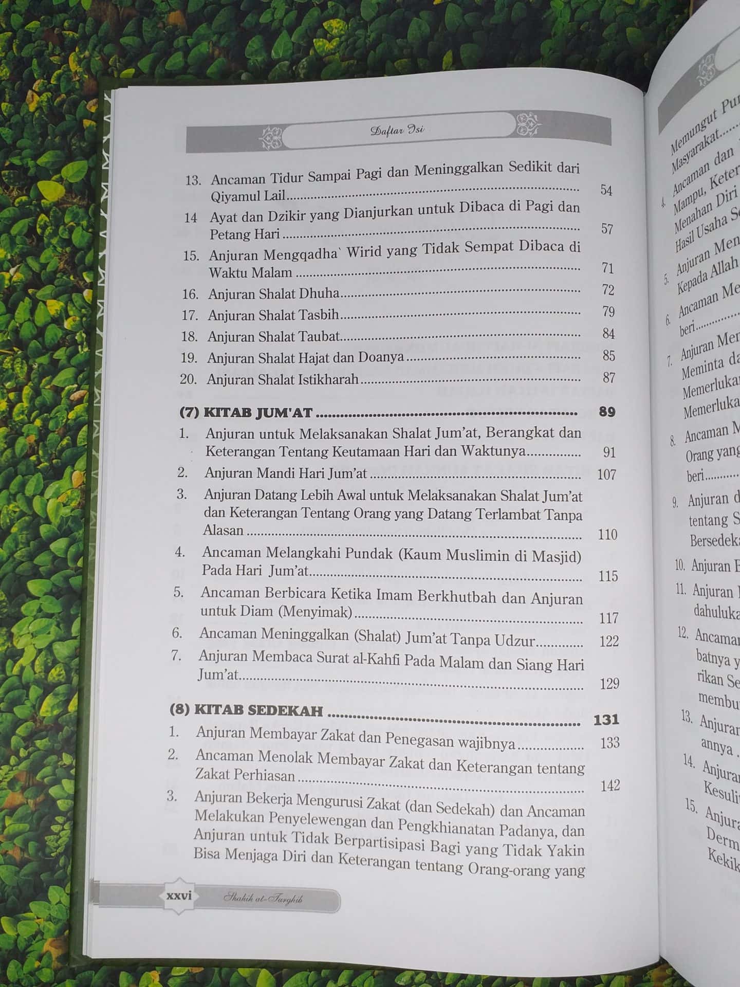 Shahih At-Targhib wa At-Tarhib Jilid 2 - Darul Haq